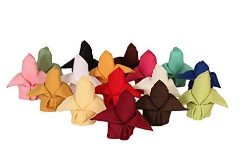 Your Chair Covers - 20 Inch Square Premium Polyester Cloth Napkins. Oversized, Double Folded and Hemmed Table Napkins for Restaurant, Bistro, Wedding - (Blush) (Pack of 10)