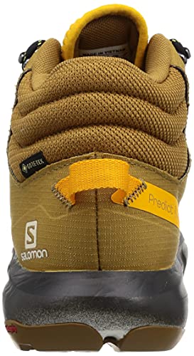 Salomon L414612009 Predict Hike Mid GTX Cumin/Safari 9 Men's