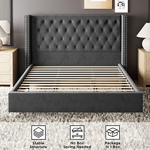 Jocisland Queen Bed Frame Upholstered Bed Wingback Headboard Velvet Tufted Diamond Button/No Box Spring Needed/Easy Assembly/Gray