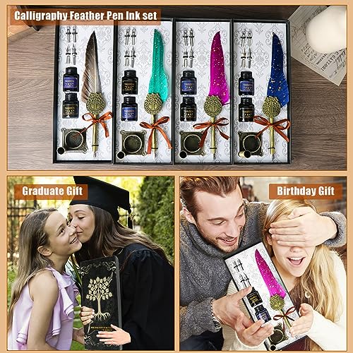 TIANREN Feather Pen and Ink Set,quill pen ink set,Antique Calligraphy Pen with 4 Replaceable Nibs,2 Bottle of ink,Pen Holder Christmas Gift for Men&Women.(Gray)