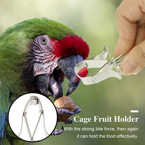 Ipetboom Bird Fruit Clips Bird Cage Food Holder Clips 4pcs Stainless Steel Parrot Fruit Vegetable Clips Bird Cage Feeder Clip for Budgie Parakeet Cockatoo Macaw Cockatiel Conure