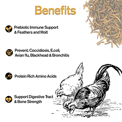 Fowl Treats Naturally Fortified Mealworms - Protein Rich Supplements Suitable for Hens and Ducks, Contains USA Grown Ingredients β Helps with Bone Strength, Feathers & Molt β 8oz