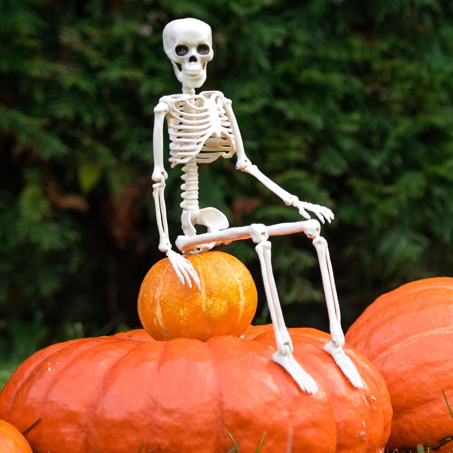 COYOAL Skeletons Decorations, 16'' Posable Plastic Skeleton, Full Body Skeleton with Movable Joints, Realistic Spooky Scary Skeletons for Indoor Party Haunted House Graveyard Props Decor