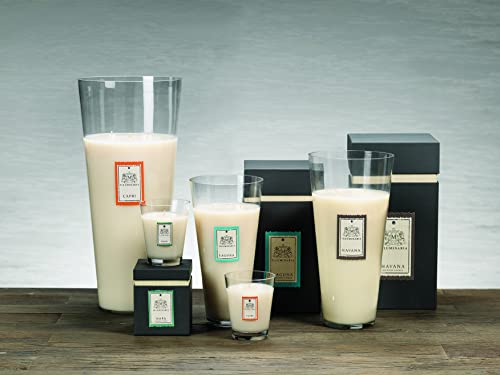 ZODAX Illuminaria Collection Scented Candle Small Glass Jar in Gift Box (Capri) - 340 GR/12 OZ