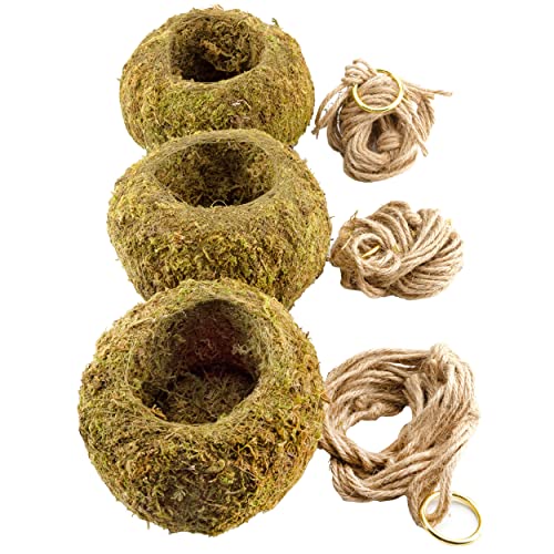 Esterno Kokedama Hanging Planters (Set of 3, 5.5in Diameter); Japanese Moss Ball Plant Holder for Ferns, Succulents, Orchids Etc