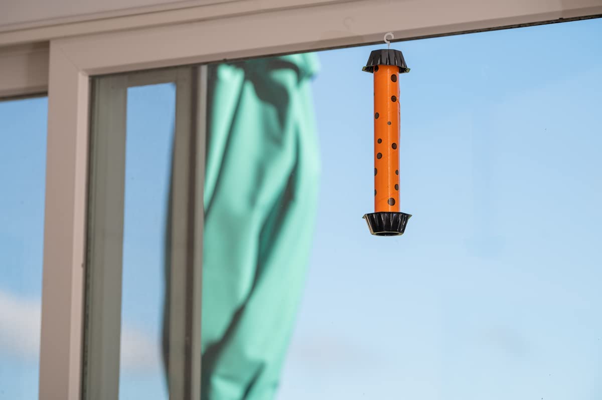 Evenu Fly Stick Trap, Sticky Catcher for Trapping Mosquitoes, Moths, Gnats and Other Flying Insects, Bugs, Pests in House, Indoor and Outdoor Use 2 Pack