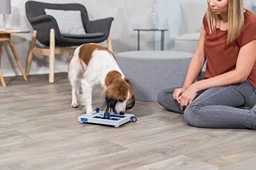 TRIXIE Mini Mover Strategy Game, Advanced Dog Puzzle Toy, Level 3 Activity, Treat Puzzle, Interactive Play, Enrichment