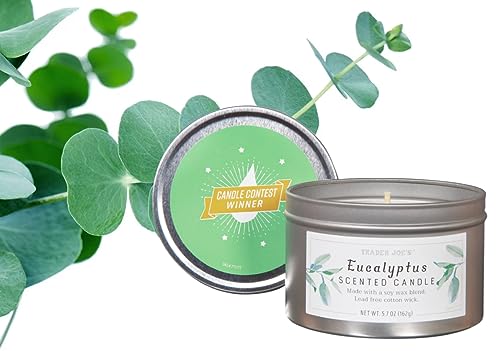 Trader Joe's Eucalyptus Scented Soy Candle (2 Pack)