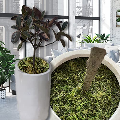 KARRYHOME 10 OZ Fake Moss for Potted Plants Artificial Moss for Fake Plants Faux Moss for Planters Decorative Moss for Craft ,Green Moss and Home Decor