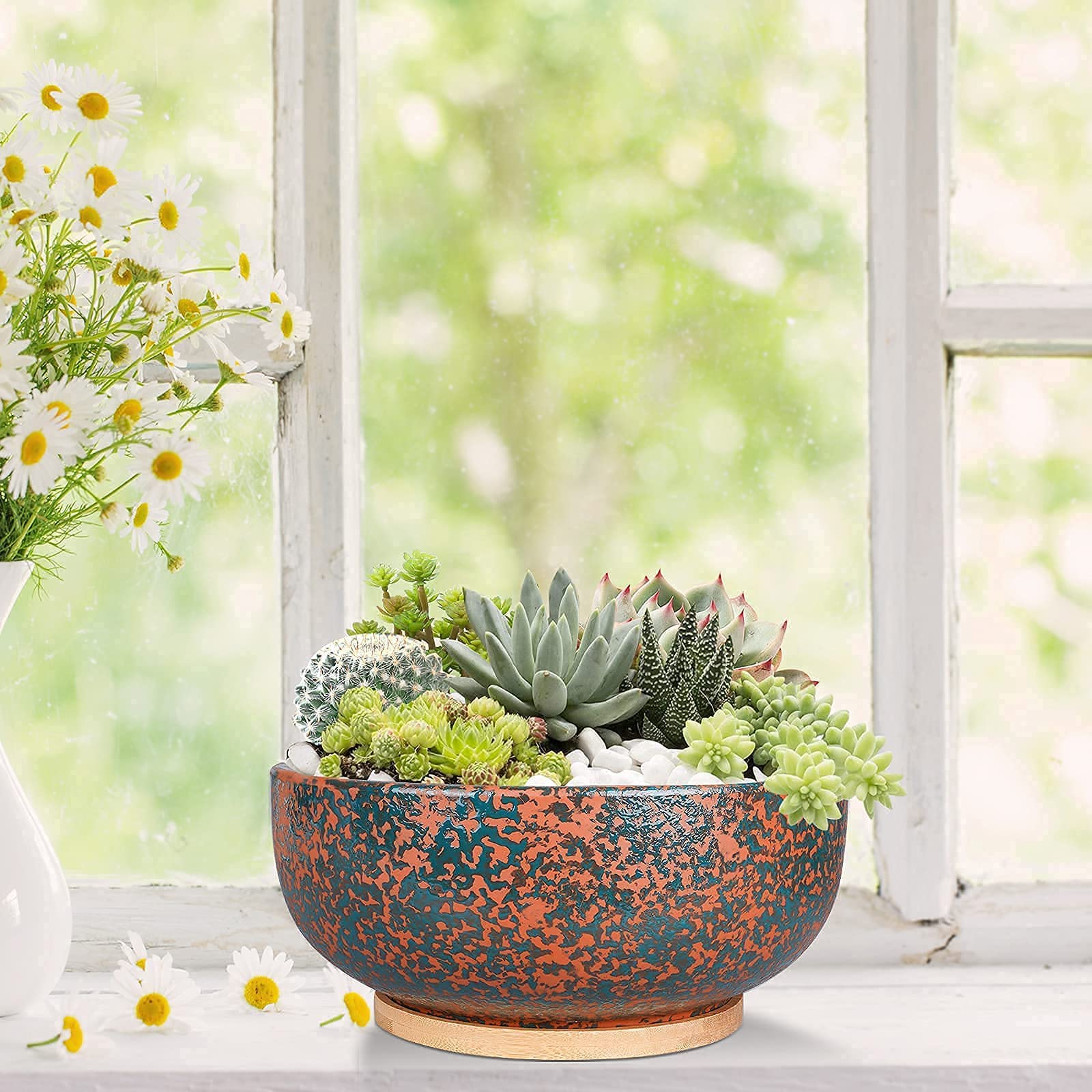 Fivepot 10 Inch Terracotta Succulent Planter Pot with Drainage Hole and Bamboo Tray Round Shallow Bonsai Pot for Indoor Plants