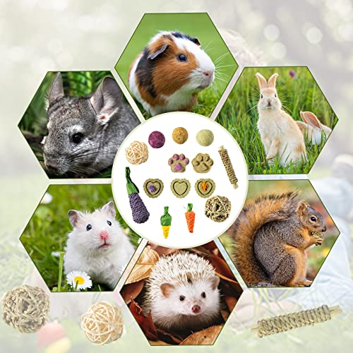 PD Bunny Chew Toys for Teeth, Natural Timothy Grass Small Animal Chew Toys, Mixed Grass and Molar Grass Cake and 2 Balls for Rabbits Chinchilla Hamsters Guinea Pigs Gerbils Groundhog Squirrels(14 pcs)