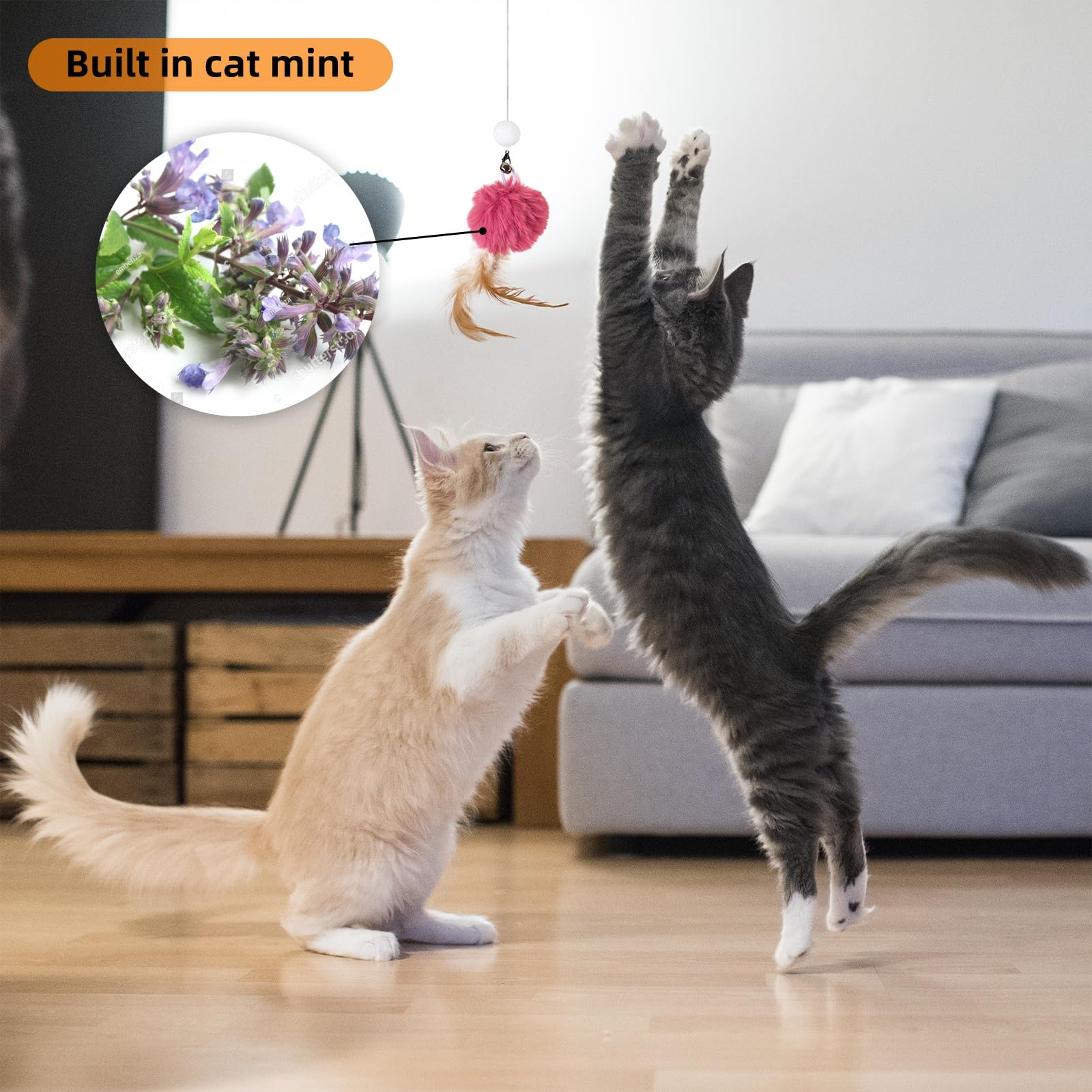Cat Toys for Indoor Cats 2023 New Interactive Cat Feather Toy,【Chirping Bird/Mouse/Ball】 Stimulate Hunting, Rechargeable Automatic Cat Hanging Toy