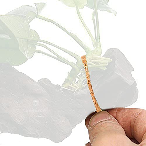 SunGrow Self-Dissolving Driftwood Strings, 20β Long Rope, Tie Java Fern, Moss, Anubias Plants, Blends with Cholla, Driftwood, 20-pcs