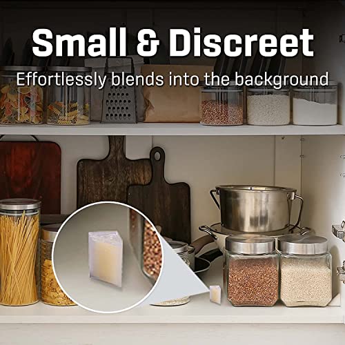 Exterminator’s Choice - Bug Bistro - Reusable Ant and Cockroach Bait Box - Serves Bugs Their Last Meal - Keeps Bait Contained But Available for Bugs - 2 Pack