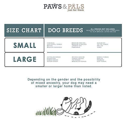 Paws & Pals Airline Approved Pet Carriers with Fleece Bed For Dog & Cat, Large, Mineral Blue