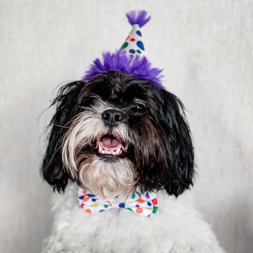 Huxley & Kent Bow Tie for Pets | Happy Barkday (Small) | Birthday Velcro Bow Tie Collar Attachment | Fun Bow Ties for Dogs & Cats | Cute, Comfortable, and Durable | H&K Bow Tie