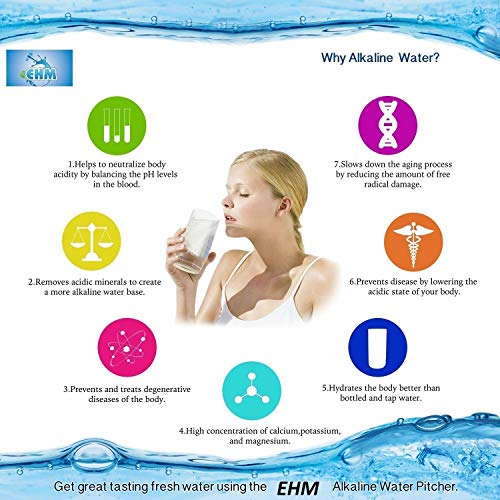 EHM Ultra SureFlow 2 Pack Filter Replacement Cartridge for EHM Ultra Premium Alkaline Mineral Water Ionizer Pitchers, Filters fits Ultra 3.5L, 3.8L Pitcher