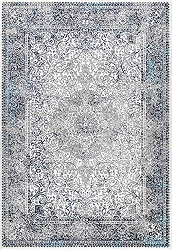 nuLOOM Transitional Persian Delores Area Rug, 4x6, Blue
