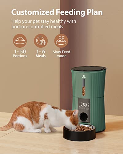Petory Timed Automatic Cat Feeders - 4L Programable Dry Food Dispenser for Cats and Small Medium Dogs 6 Meals with Desiccant Bag Dual Power Supply 10S Voice Recorder