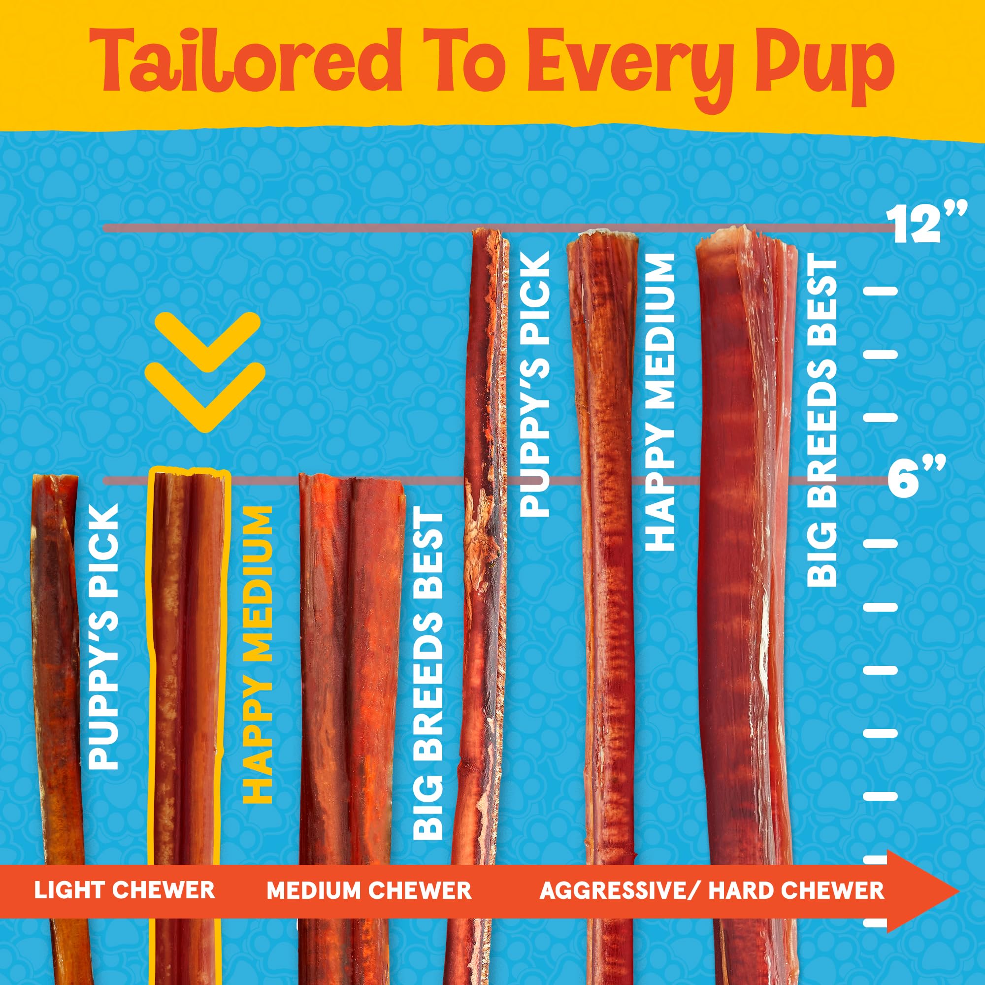 FETCHERONI Large Bully Sticks for Dogs - 100% Beef Tasty Natural Flavor - Fully Digestible Dog Chews - Long-Lasting chewing sticks - Bully Sticks Odor Free for Medium and Large Dogs (12 Inch, 10 Pack)