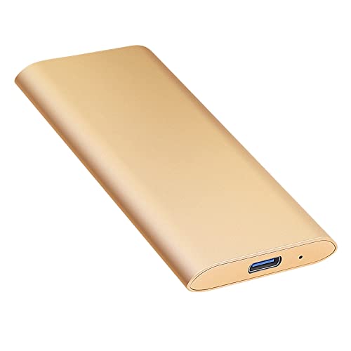 External Hard Drive 1TB USB3.1 for PC, Mac, Desktop Computer, Wii U, Xbox (1TB, Gold)