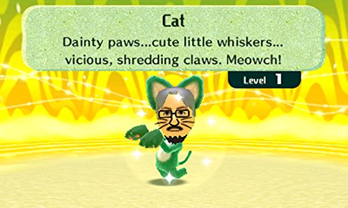 Miitopia (Nintendo 3DS)