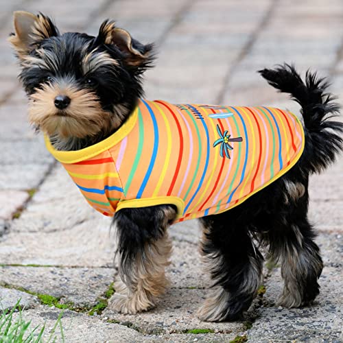 Phiyolin 2-Pack Dog Shirts Striped Stretch Dog T-Shirts for Small and Medium Dogs,Quick Dry Breathable Pet Clothes(M,Blue)