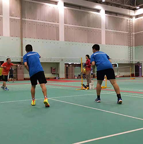 Colletia Shuttlecocks Birdies 12 Pack Nylon Badminton Shuttlecocks,Training High Speed Badminton Balls,with Great Durability Stability Suitable for Indoor Outdoor