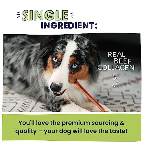Pawstruck All Natural 11-12" Roasted Collagen Sticks for Dogs - Low Odor & Long Lasting Alternative to Bully Sticks and Rawhide Chews - Grain Free, Single Ingredient & Vet Approved - 5 Pack