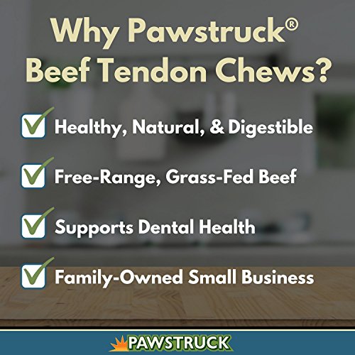 Pawstruck "7-9" Beef Tendon Chews for Dog (10 Sticks) Pet Food, Natural Beef Strap Odorless Treats, Cleans Teeth, Free-Range, Grass-Fed Beef, Free of Artificial Ingredients and Flavors, 1 Pound