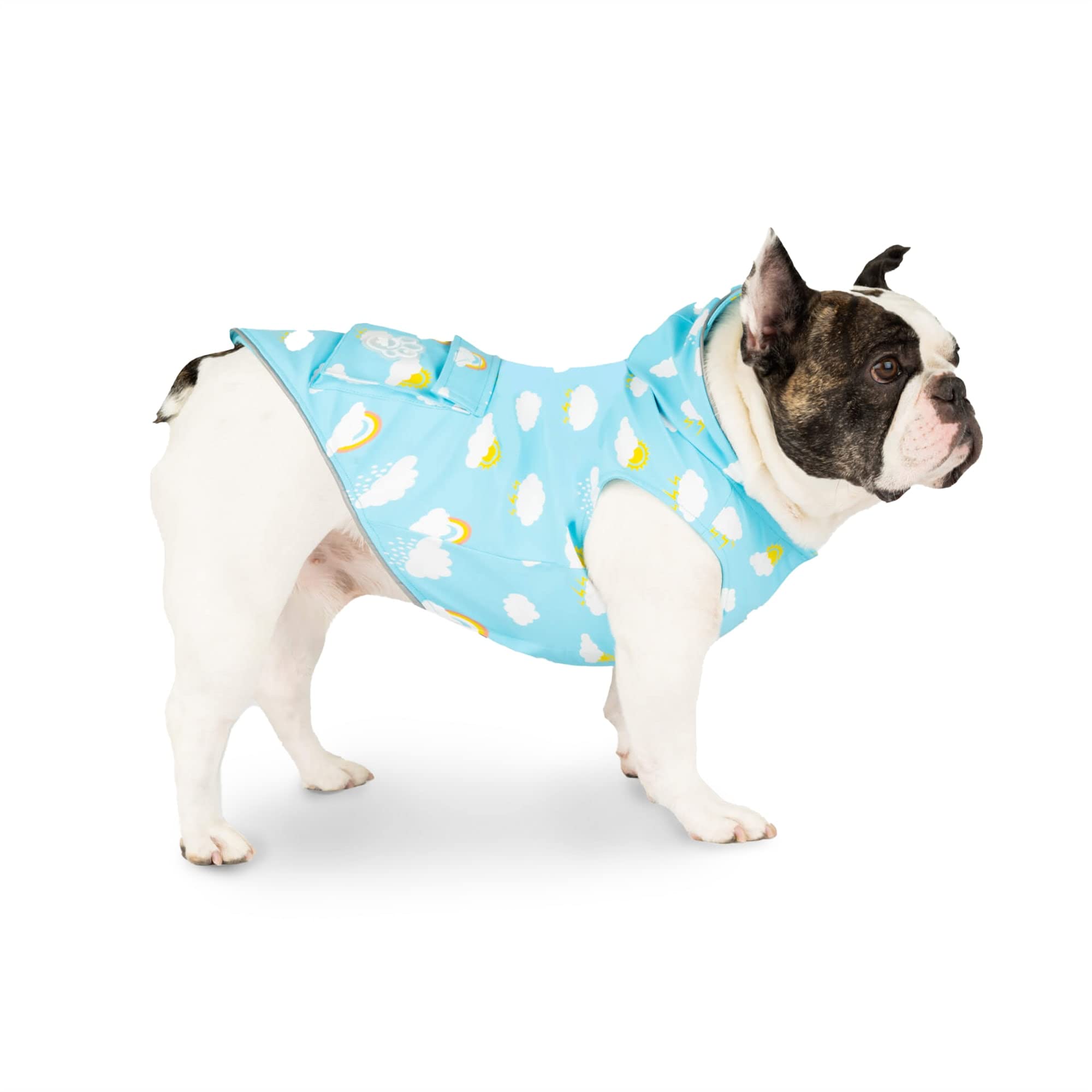 Canada Pooch Clouds Wet Reveal Dog Torrential Tracker, Medium