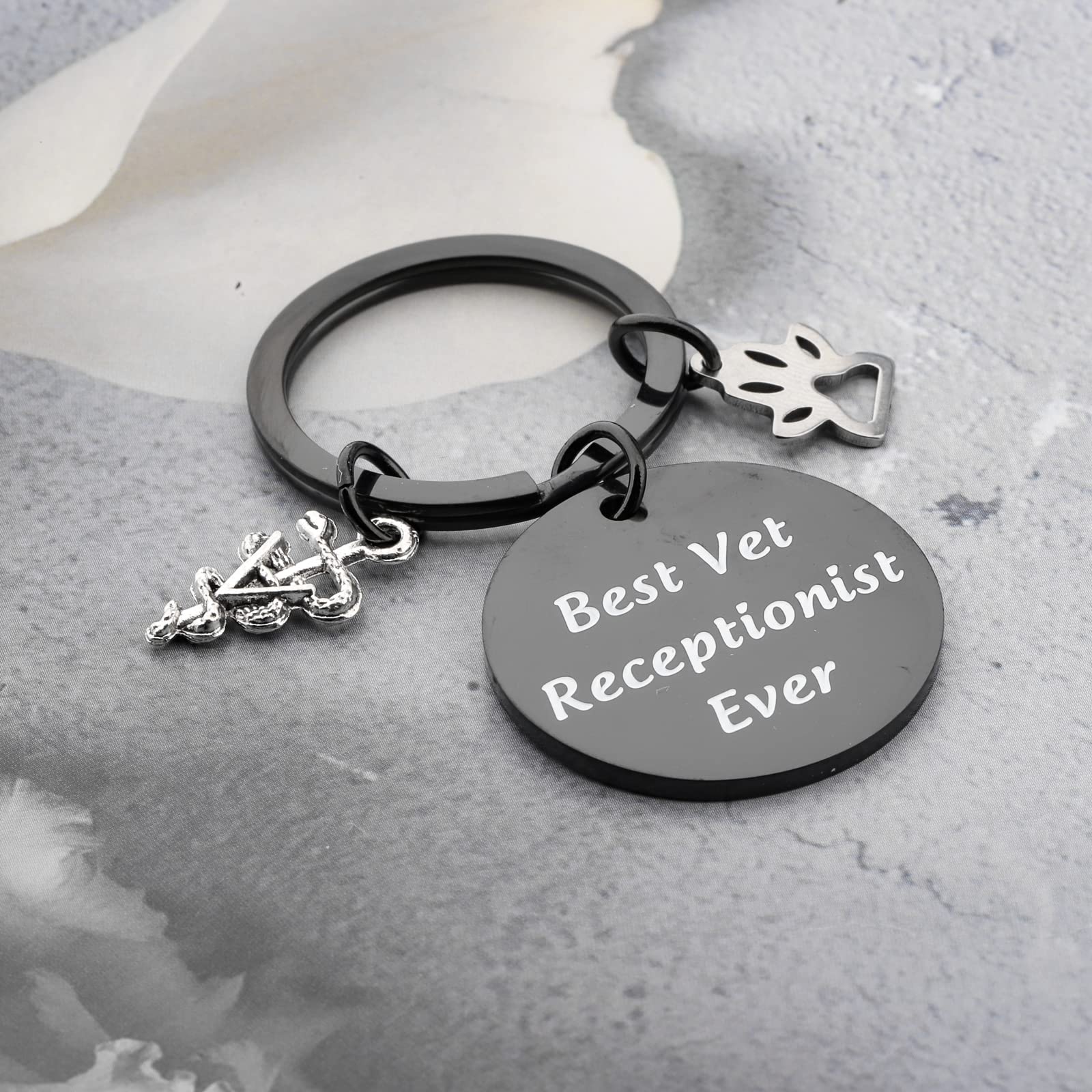 CENWA Vet Receptionist Gift Best Vet Receptionist Ever Keychain Veterinary Assistant Vet Nurse Gift (Best Vet black k)