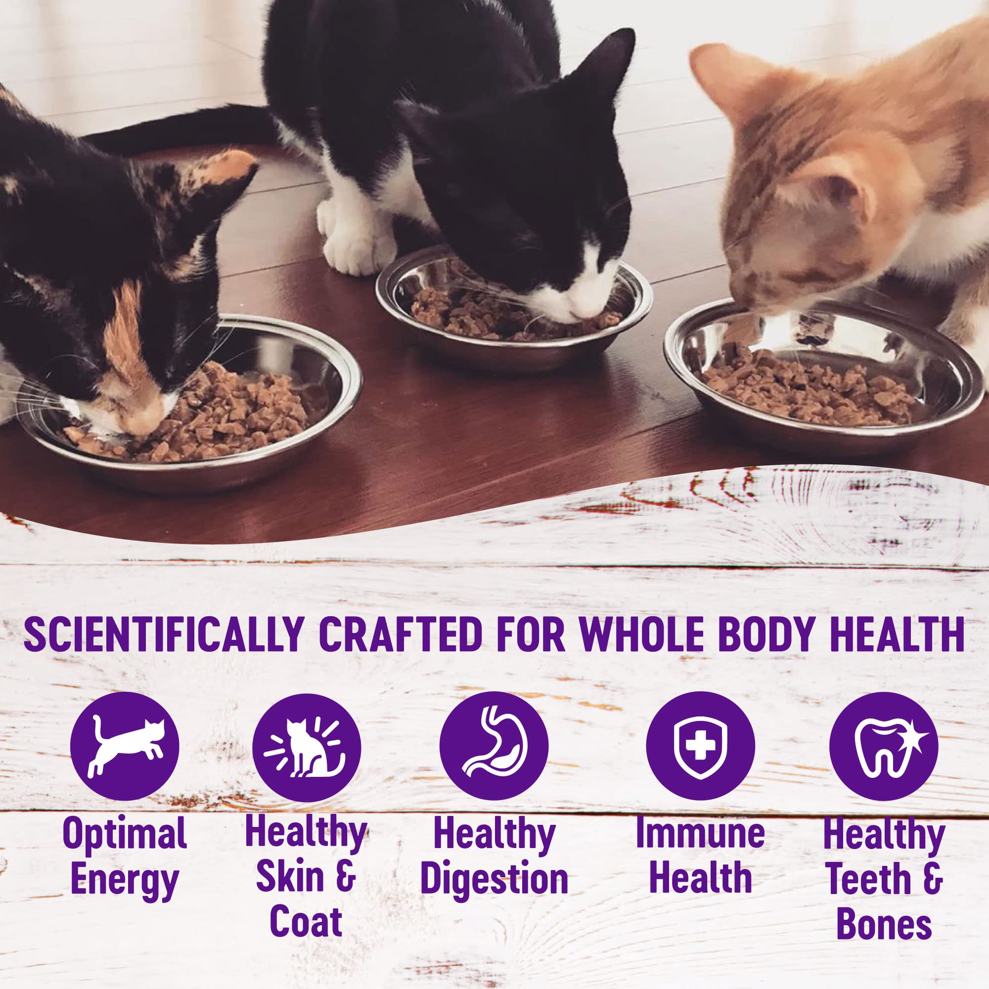 Wellness Complete Health Minced Grain Free Canned Cat Food, Chicken Dinner, 3 Ounces (Pack of 24)