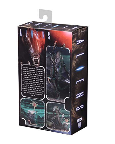 NECA - Alien- 7" Scale Action Figures - Ultimate Warrior - (1986) Brown Alien