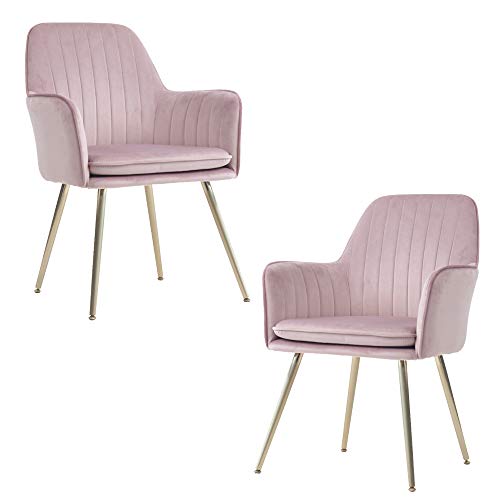 ceedment Modern Living Dining Room Accent Arm Chairs Club Guest with Gold Metal Legs (2, Pink)