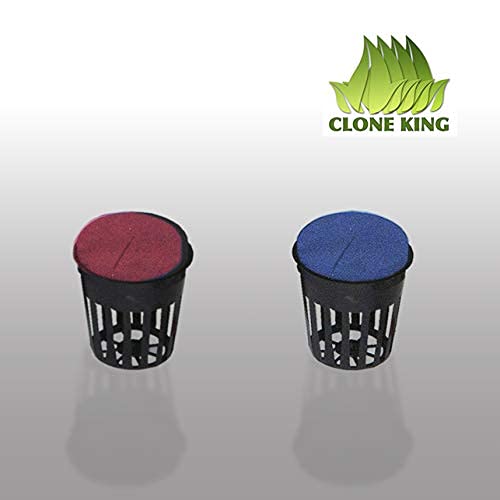 CLONE KING 25 Site Aeroponic Cloning Machine Expect 100% Success Rates