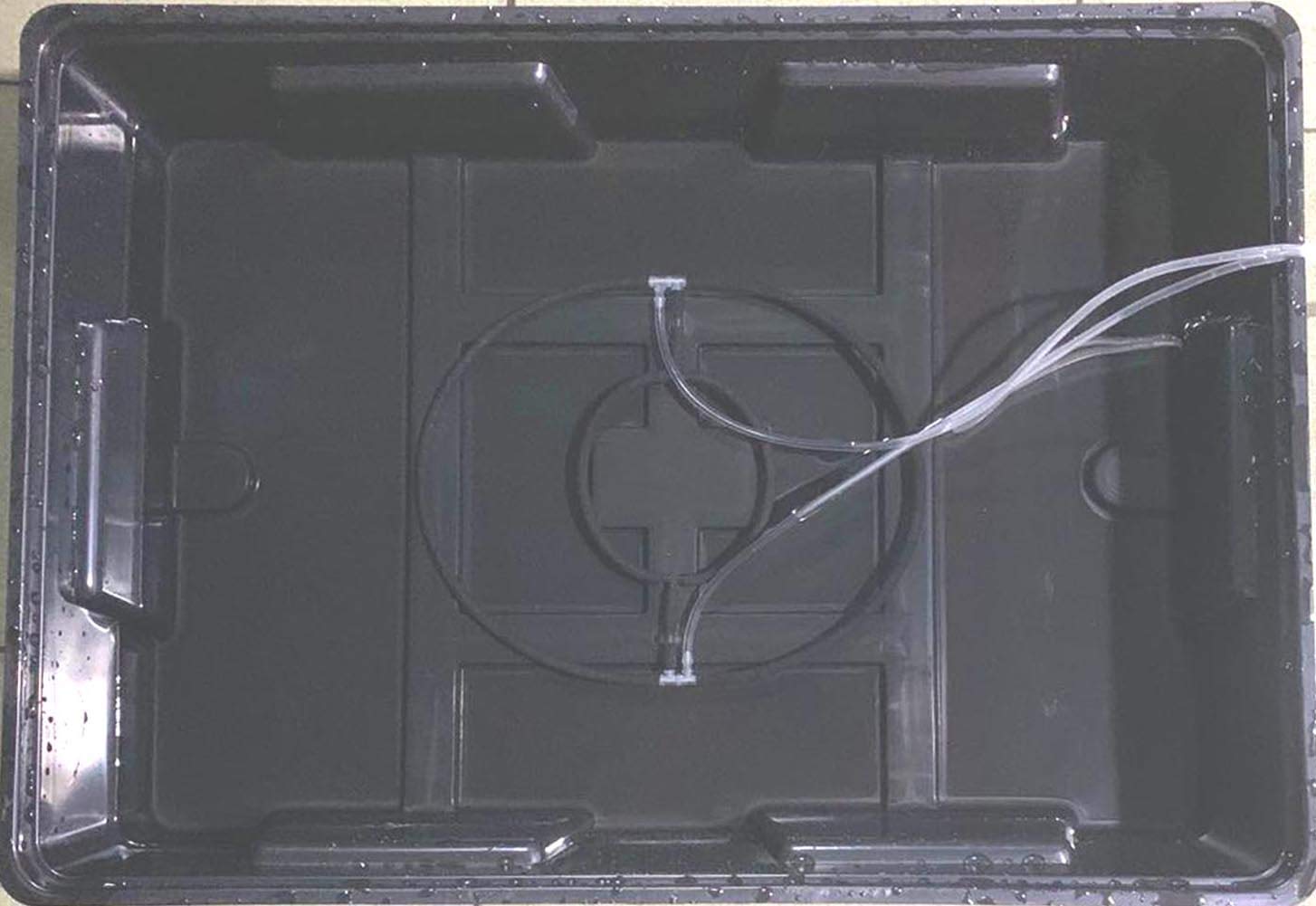 Cloning Machine 140 site with Oxygen Bubbler Kit and Extra 1 5/8 inch Mixed-Colored Clone Collars Pack of 72