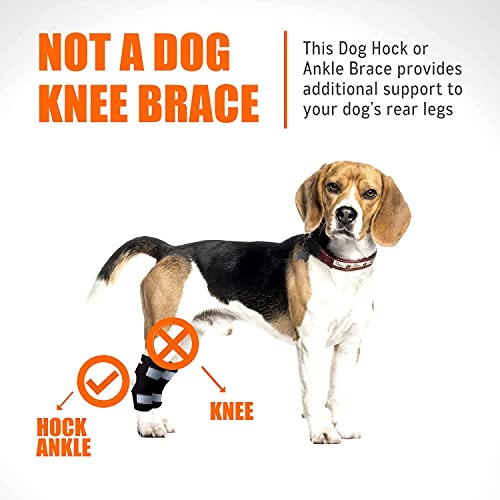 NeoAlly Super Supportive Dog Braces for Rear Leg and Hock Joint with Dual Metal Spring Strips Stabilize Canine hind Legs from Wound, Injury, Sprains, Arthritis (XL Pair)