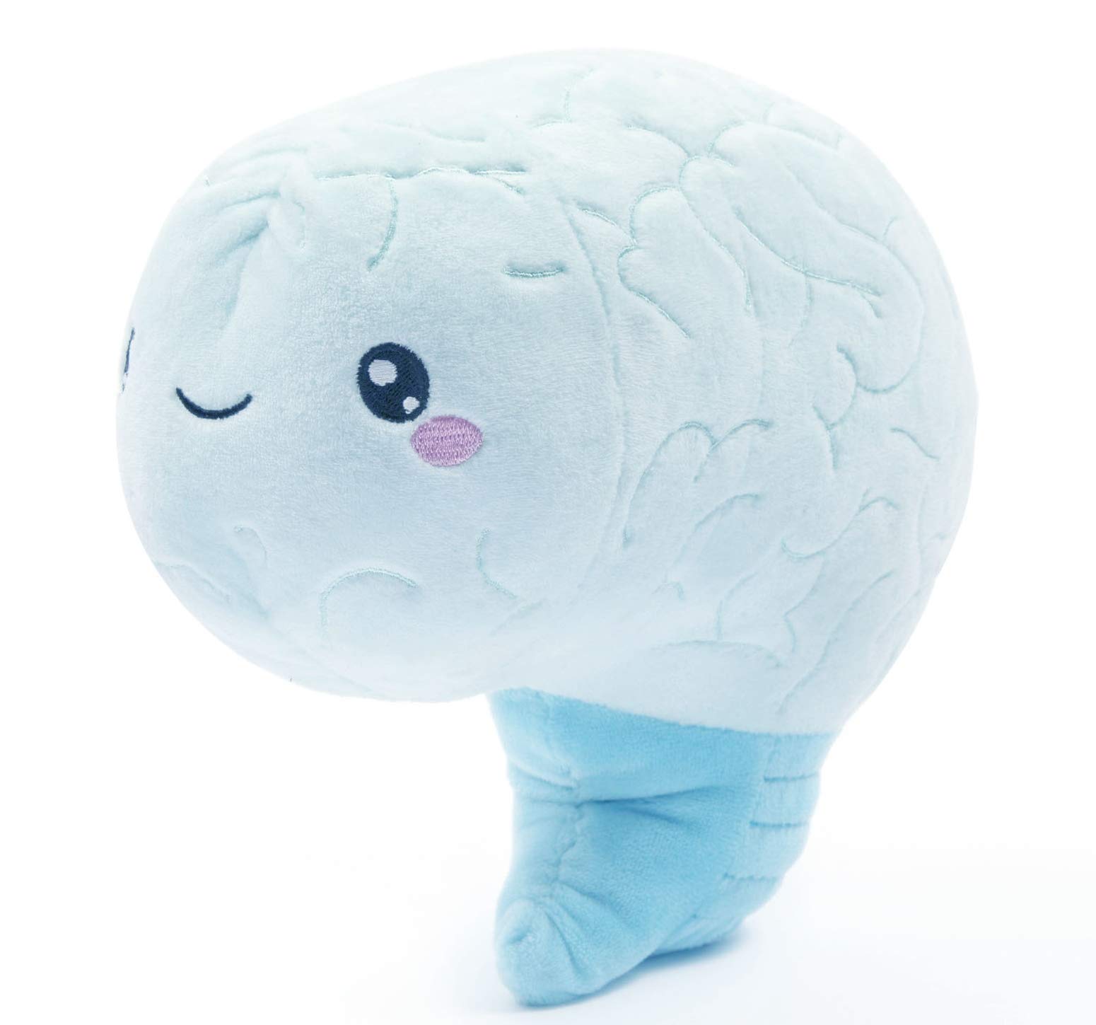 nerdbugs Brain Plush Organ- Love on The Brain- Brain Plush Organ Toy/Get Well Gift/Health Education Toy/Neuroscience or Neurology Plush Toy Organ Gift/Surgeon Gift