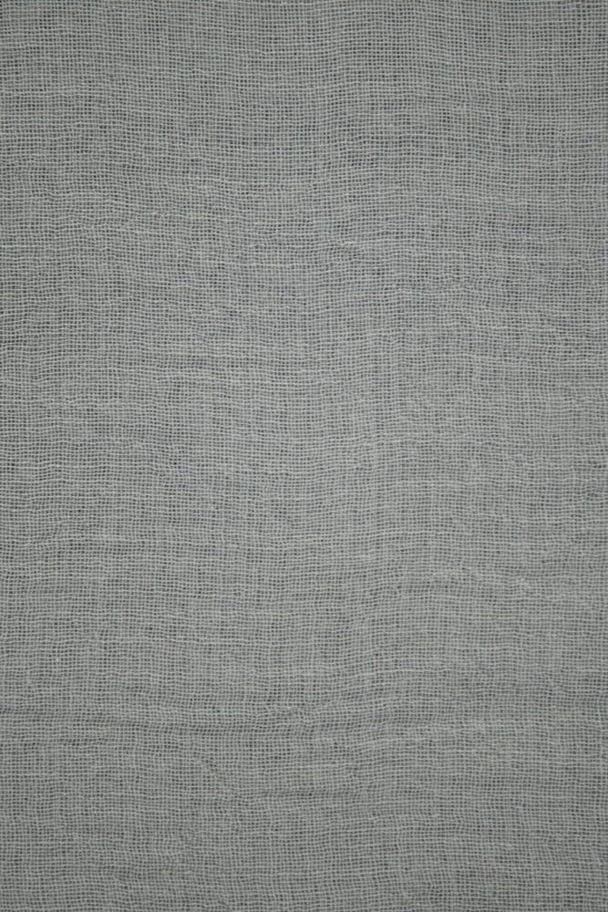 Chan LUU NEW Griffin Cashmere & Silk Soft Scarf Shawl Wrap