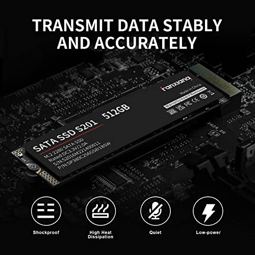 fanxiang S201 512GB M.2 SSD 2280 SATA III 6Gb/s Internal Solid State Drive, SLC Cache for Speed Boost, Read Speed up to 550MB/sec, Compatible with Laptop and PC Desktops(Black)
