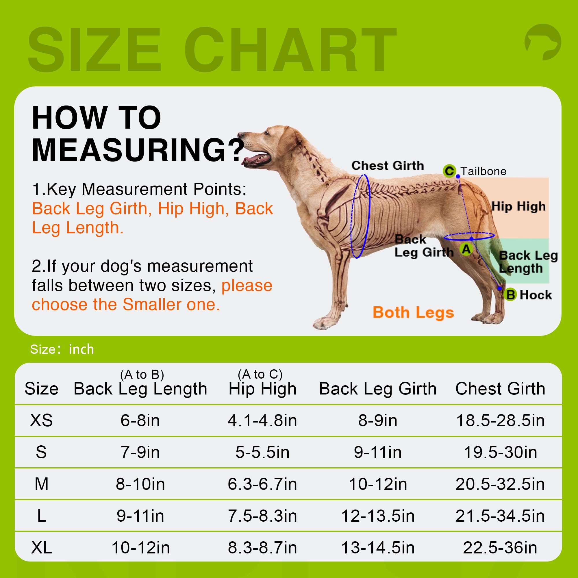 KISFLY Rear Leg Braces for Dogs Luxating Patella Joint Pain Dog Knee Brace for Torn ACL Hind Leg with Reflective Support Strip Both Legs L