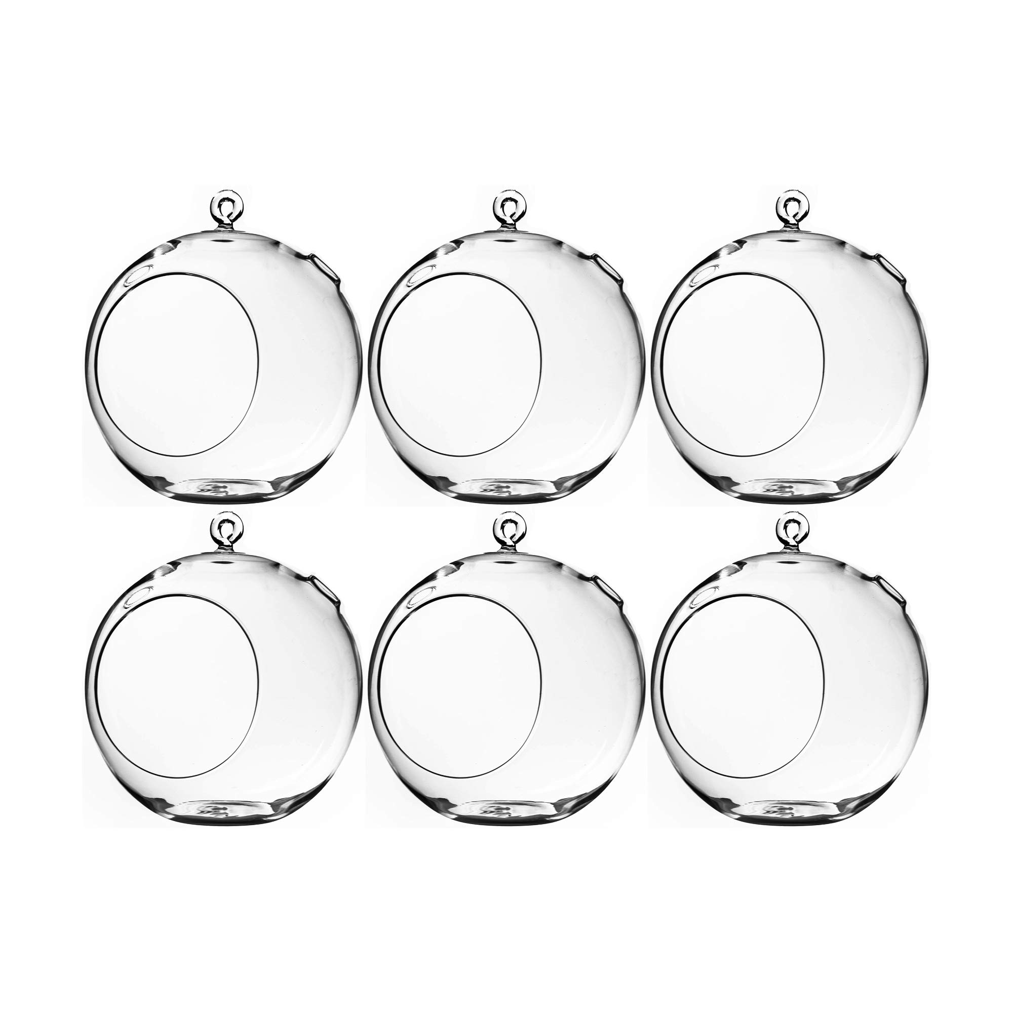 WGV Hanging Terrarium Globe, Width 8", Height 9", DIY Air Succulent Planter, Clear Glass Vase Orb with Flat Bottom, Candle Holder for Windowsill Outdoor Garden Decor, 6 Pieces Bulk