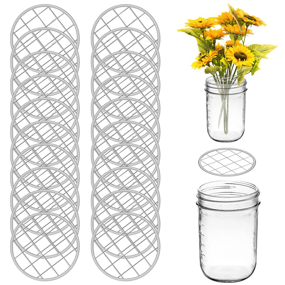 DLAND 20 Pieces Mason Jar Flower Frog Holder Lid Arrangement Flower Insert Lid Grid Organizer Lid Metal with Square Grids for Regular Standard Mouth Canning Jar.