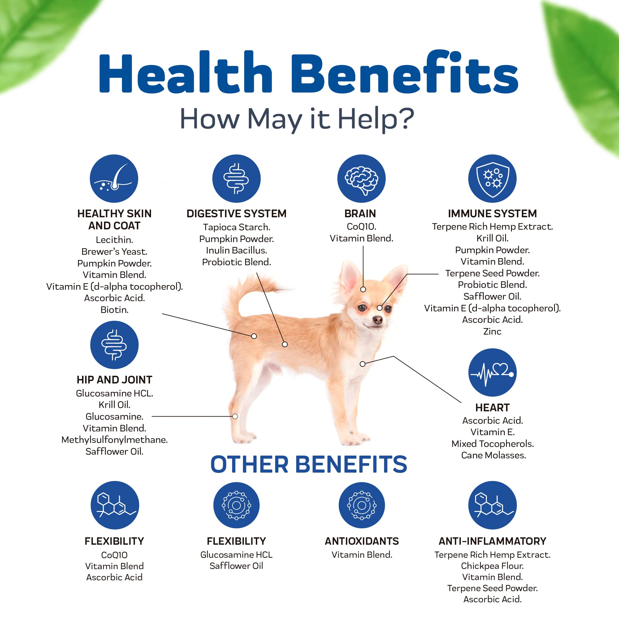Innovet Pet Advanced Dog Multivitamin Supplements - Probiotics, Calcium, Hemp Seed Powder & Glucosamine for Dogs - Omega 3-6-9 Supplements - Vitamins Supplements for Dog Anxiety Relief – Bacon Flavor