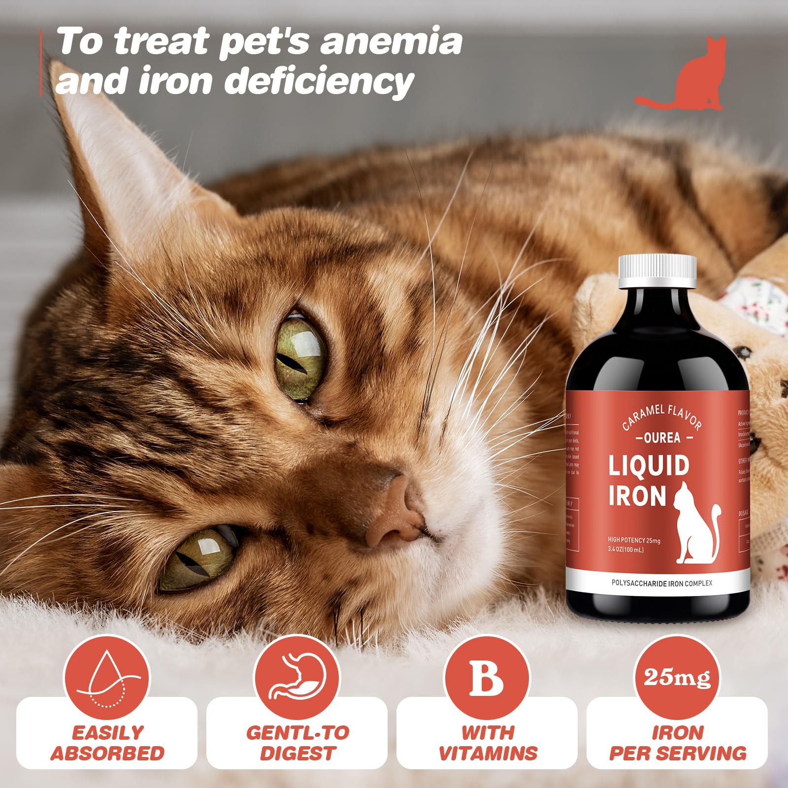 Iron Supplements for Cats-Liquid Iron Supplement for Anemia Cat-Polysaccharide Iron Complex Supports for Anemia in Cats Blood Health and Addresses Nutritional Deficiencies-Cat Care Essentials