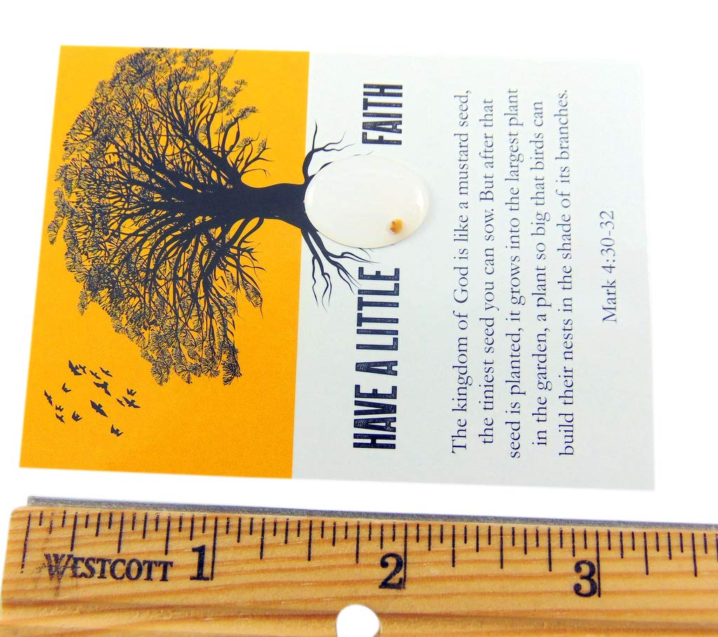 Mustard Seed of Faith Holy Prayer Cards Gift Set, Pack of 10