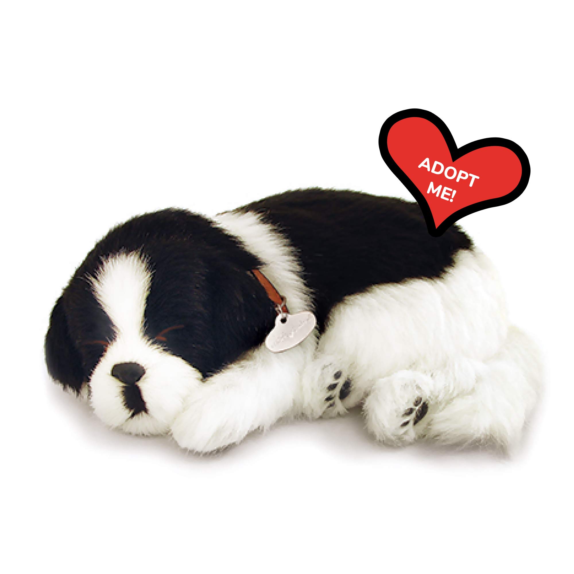 Precious Petzzz Border Collie - Pet Mate/Nap Breathing Life Like Sleeping Dog in Bed Sleeping Pet
