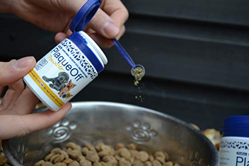 ProDen PlaqueOff Powder – Supports Normal, Healthy Teeth, Gums, and Breath Odor in Pets – 420 g