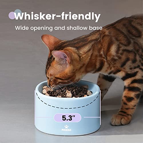 Pawaii Ceramic Cat Bowl, Combined Type Elevated Cat Bowl, Whisker Fatigue Cat Bowl, Dishwasher and Microwave Safe, One Elevated Cat Bowl and One Dish